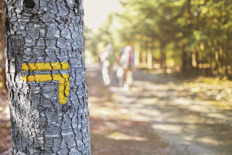 Sign on the tree stock photo. Image of person, autumn - 82591226