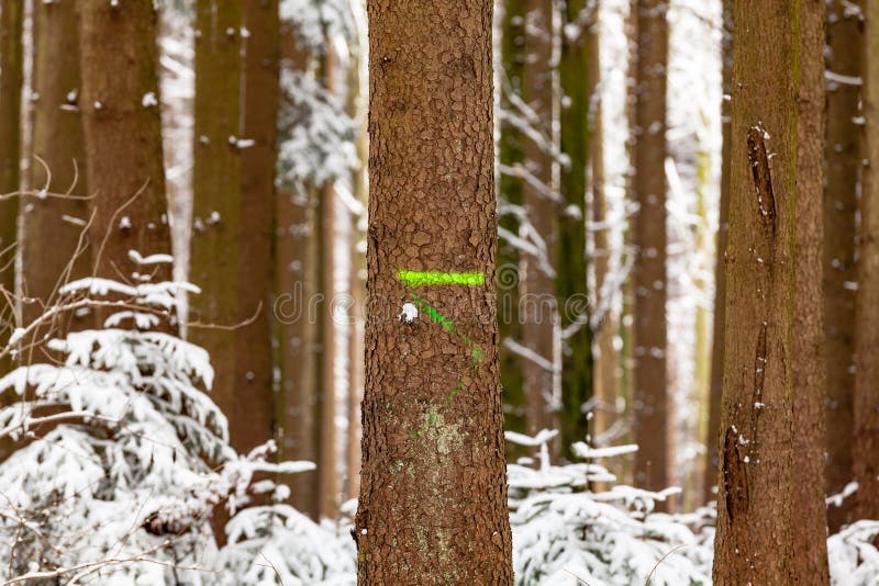 Sign tree stock photo. Image of material, navigate, stripe - 83452886