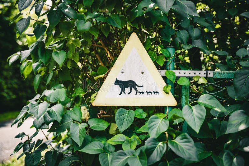 Sign among the Trees with Animals Painted on it Stock Image - Image of ...
