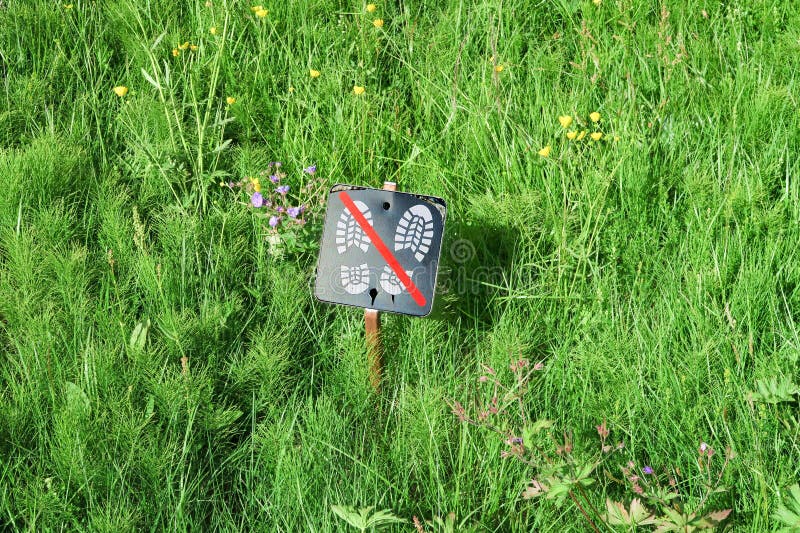 Sign Walking at Meadow Forbidden To Protect the Small Plants Stock ...