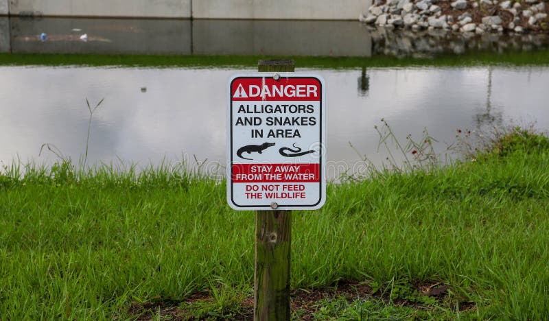 Sign Warning of Alligators and Snakes in the Area Stock Image - Image ...