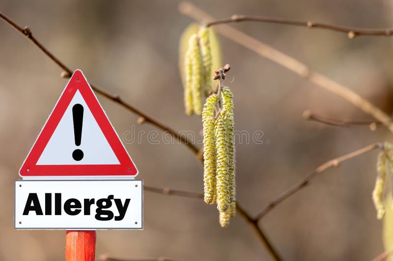 Sign with Warning Pollen Allergy Stock Photo - Image of pharmacy ...