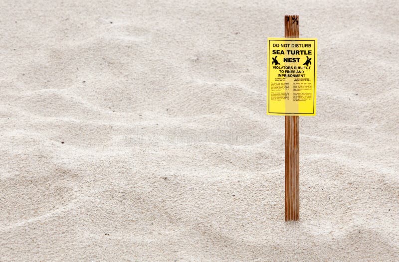 Turtle Nesting Sign stock image. Image of reproduction - 29964913