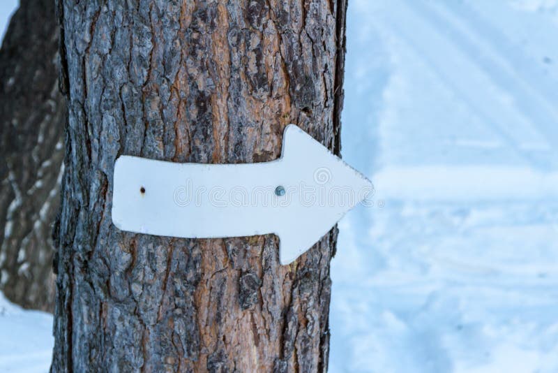 Sign with a White Arrow on a Tree Stock Image - Image of sports ...