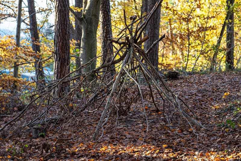 Sign of a Witch in the Middle of the Forest Stock Photo - Image of ...