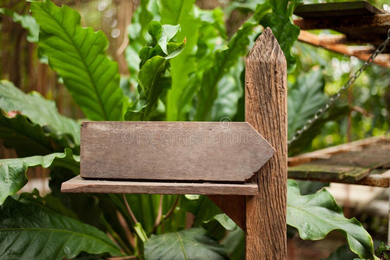 Signage Wooden Board and Tree Bg Stock Image - Image of direction ...