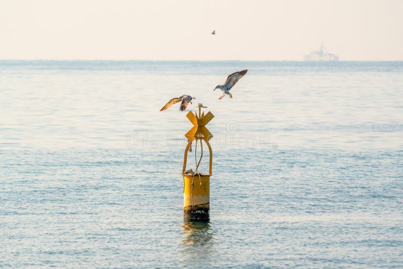 A Signalling Pontoon on the Sea Surface Stock Image - Image of ...