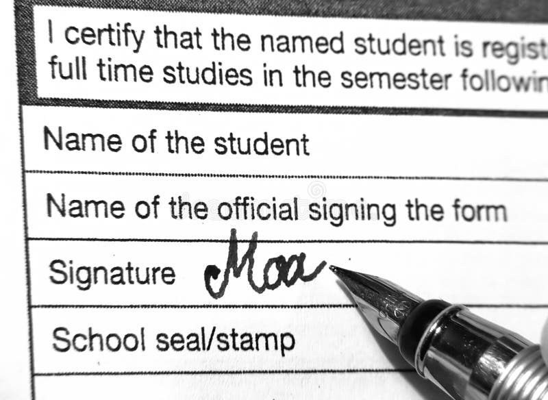 Report card stock photo. Image of grades, performance - 21234830