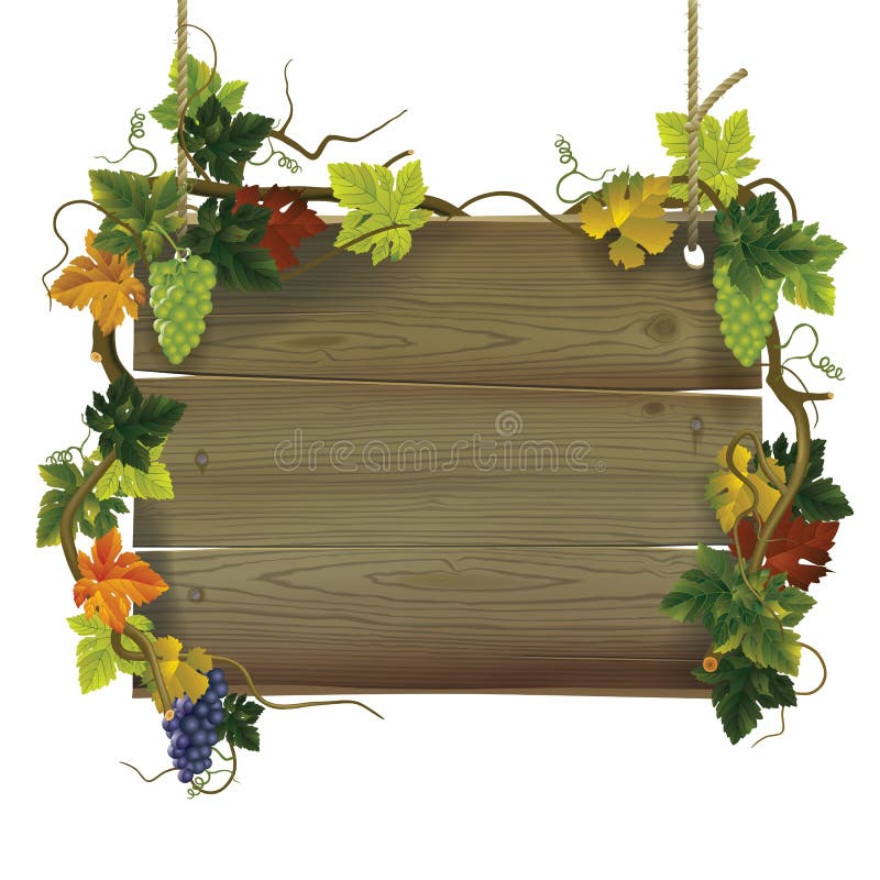 Signboard with grapes stock vector. Illustration of plantation - 57699895