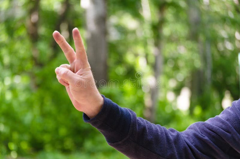 Signe De Main De Victoire La Main Des Hommes De Geste De Deux Doigts