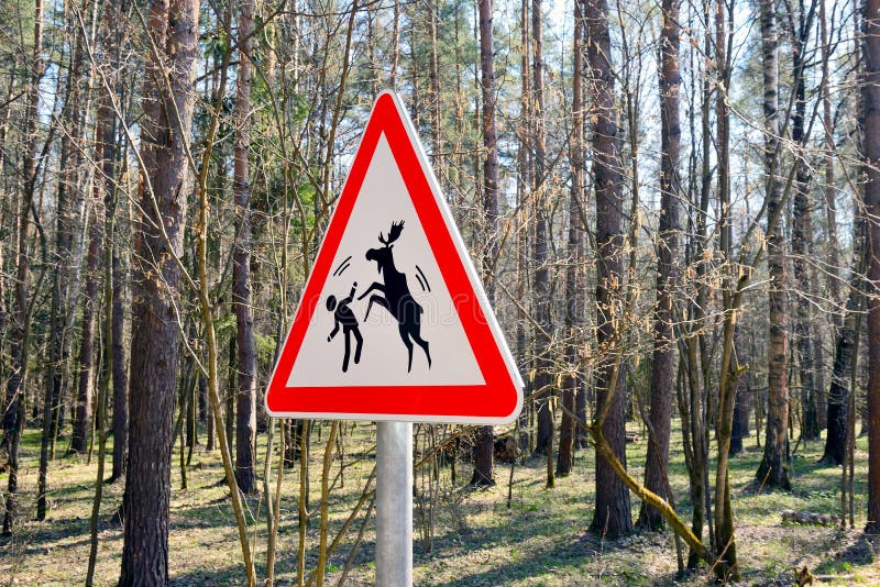 Signe Environ Des Orignaux Sauvages Sur Un Chemin Forestier Image stock ... Signe Environ Des Orignaux Sauvages Sur Un Chemin Forestier Image stock ...