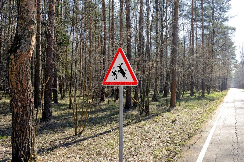 Signe Environ Des Orignaux Sauvages Sur Un Chemin Forestier Photo stock ... Signe Environ Des Orignaux Sauvages Sur Un Chemin Forestier Photo stock ...