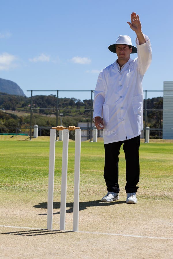 Portrait De Bye De Jambe De Signalisation D'arbitre De Cricket Pendant ...