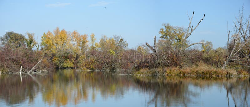 Significant Landscape Savica Stock Image - Image of protected, perch ...