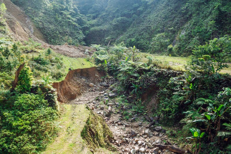 Significant Landslide Event in the Heart of a Lush Green Forest Causing ...