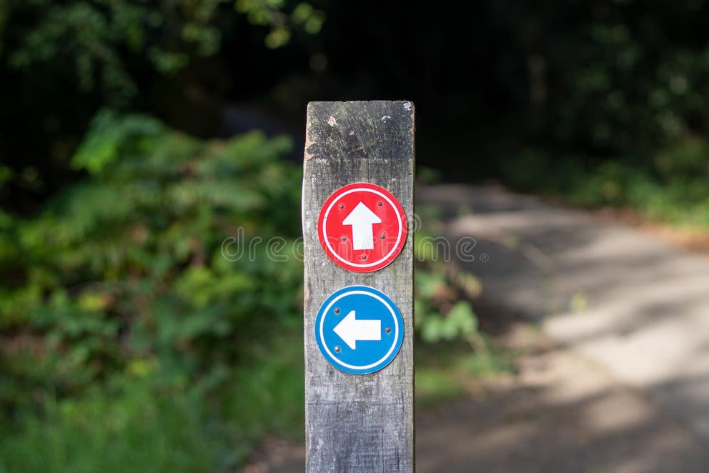 Signpost in a Forest Marking 2 Different Paths To Take Stock Photo ...