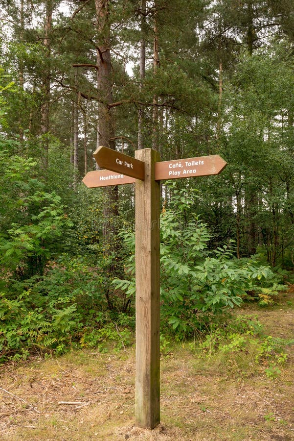 Signpost forest road stock photo. Image of forest, post - 107726480