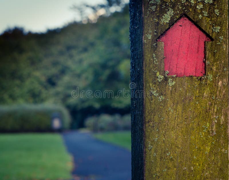 Signpost Pointing the Way stock photo. Image of copy - 84794426