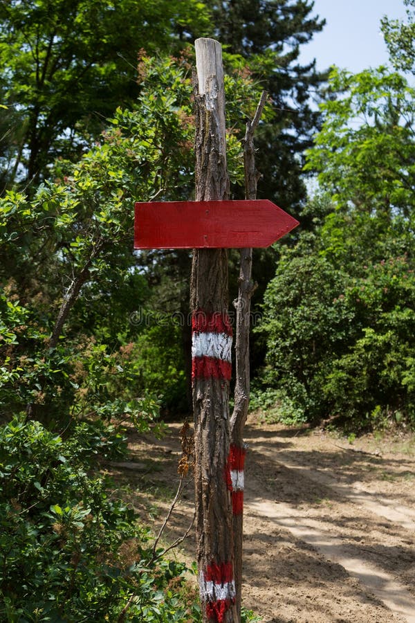 Signpost with Wooden Arrow Directional Sign Stock Image - Image of ...