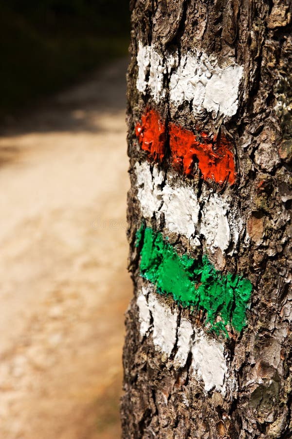 Signposting stock image. Image of information, natural - 43313053