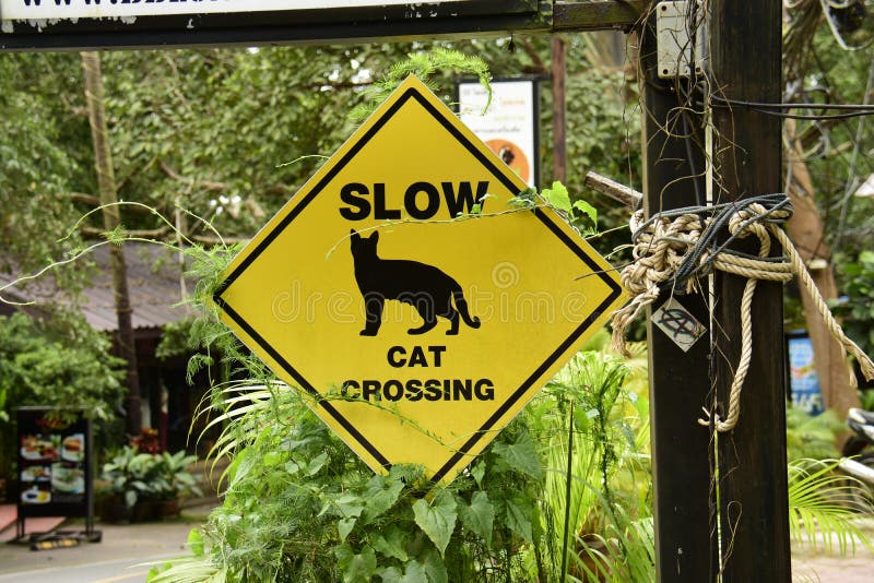 351 Bad Spelling Stock Photos - Free & Royalty-Free Stock Photos from ...