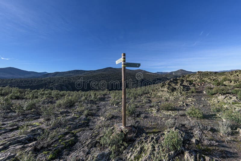 Two Different Paths Behind the Gray Wall Stock Image - Image of facade ...