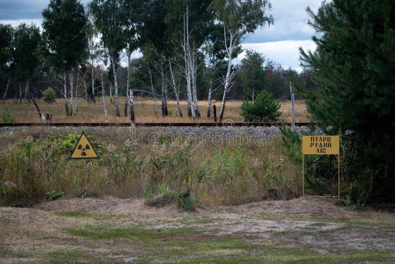 Signs of Red Forest in the Exclusion Zone in Chernobyl, Ukraine. Stock ...