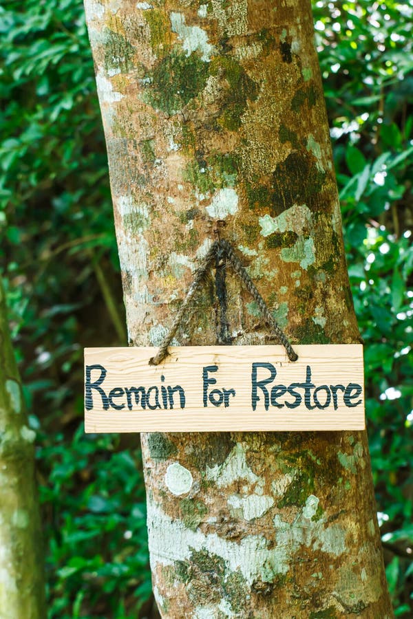 Signs Remain Restore Tree Stock Photos - Free & Royalty-Free Stock ...