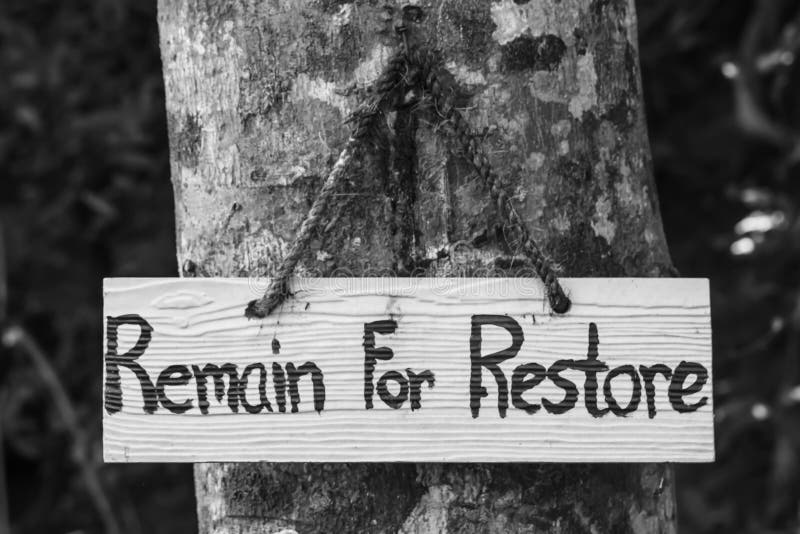 Signs Remain for Restore on Tree Stock Photo - Image of white, panel ...