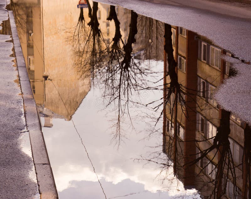 Signs of spring stock photo. Image of reflection, reflecting - 88869594