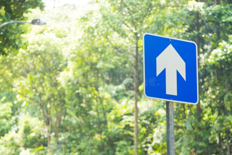 Signs Straight White Arrow. Stock Image - Image of roadside, concept ...