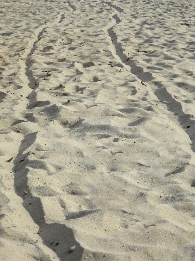 Signs Strips of Passage on the Sand Stock Image - Image of towing ...