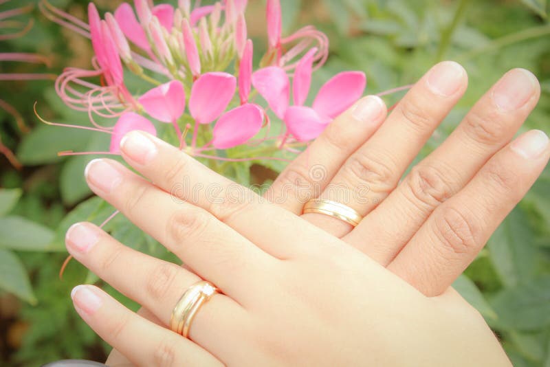 Signs and symbols stock image. Image of binding, diamond - 179435409