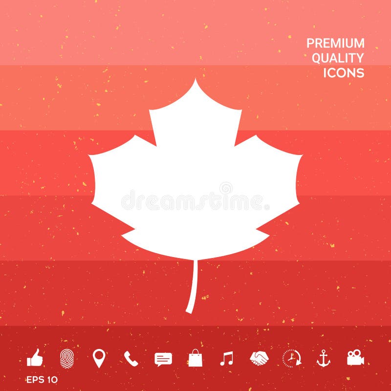 Maple leaf icon stock vector. Illustration of official - 110036092