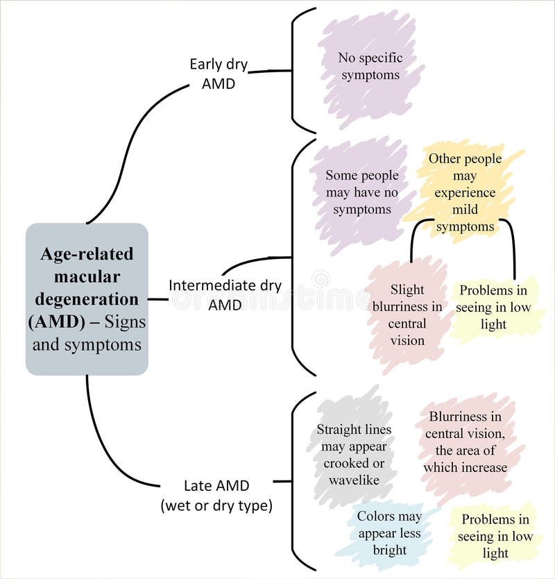 Signs and Symptoms of Age-related Macular Degeneration AMD Stock ...