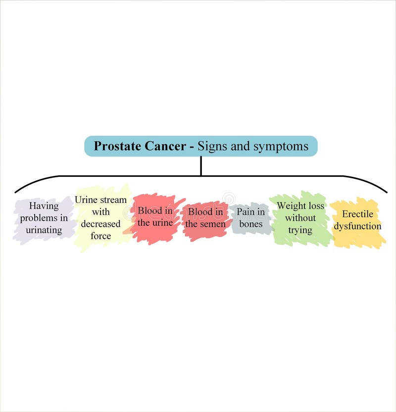 Prostate Cancer Symptoms Stock Illustrations 147 Prostate Cancer