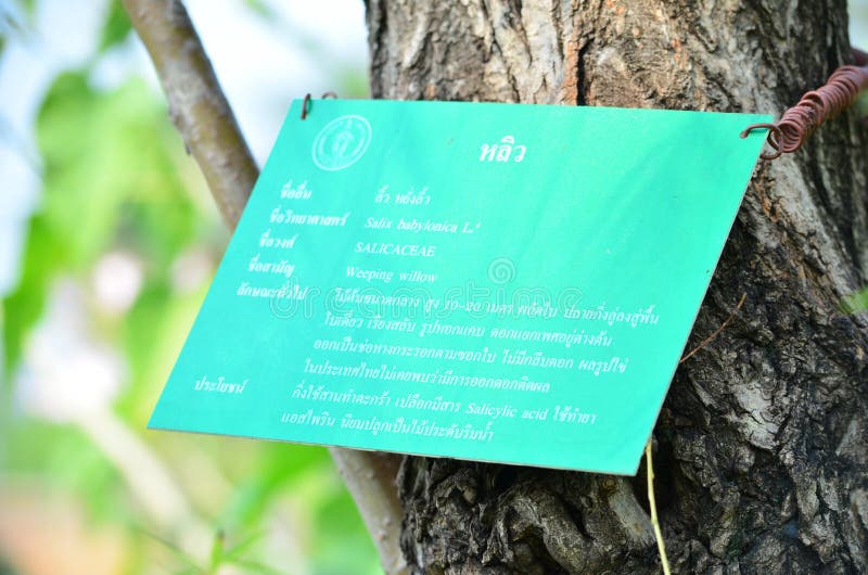 Signs tree. stock image. Image of imagery, green, located - 102886505