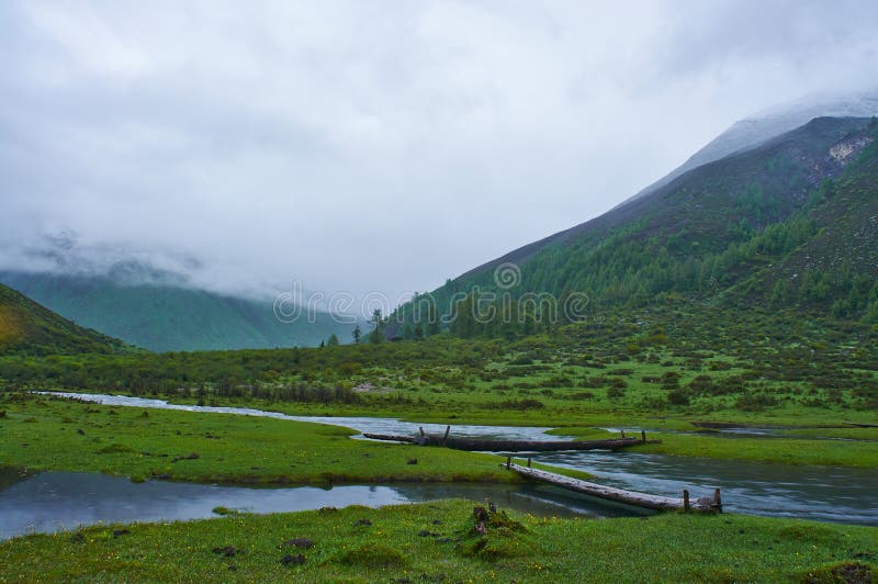 Changping Valley Scene Of The Siguniang Mountain Stock Image - Image of ...