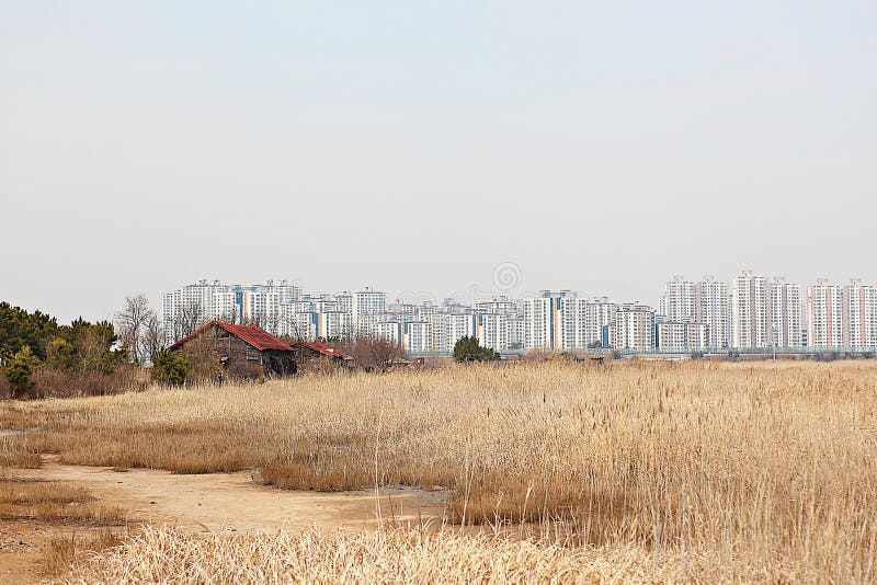 Korea ecological park editorial image. Image of park - 210740940