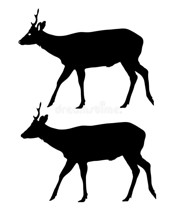 Sika Arne Stock Illustrations – 480 Sika Arne Stock Illustrations ...