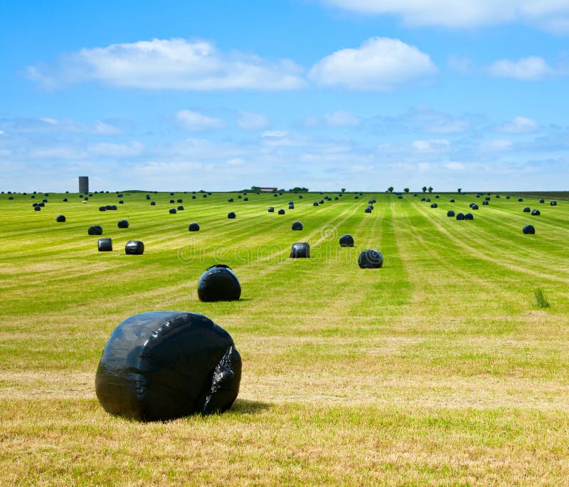 Round silage bales stock photo. Image of nobody, countryside - 27183080