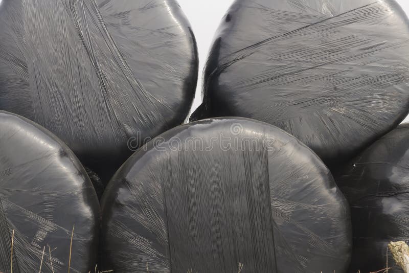 Silage Bales stock image. Image of silage, black, fermented - 42433455