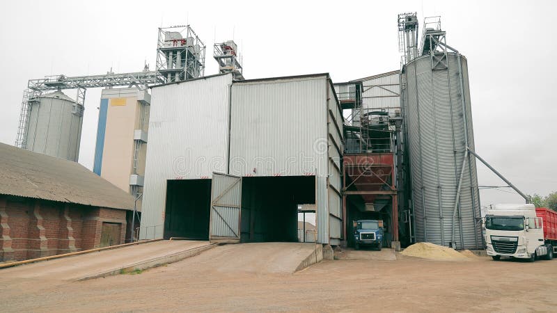 Silage Elevator Grain Elevator Becomes Art Canvas | Farms.com