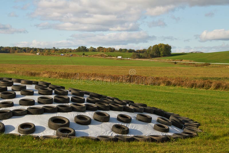 Silage food. stock image. Image of beautiful, production - 45478885