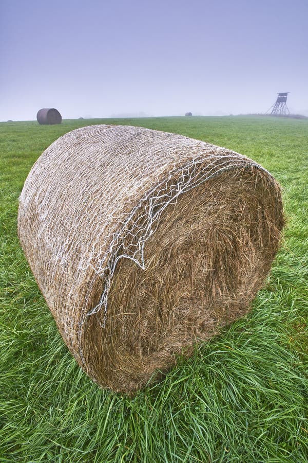 Silage in meadow stock photo. Image of republic, nature - 63609240
