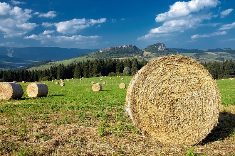 Silage in the meadow stock image. Image of mountain, landscape - 31803555