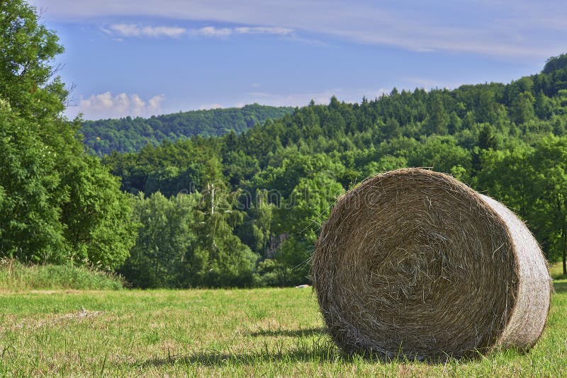 Silage in the meadow stock image. Image of farm, outdoors - 45089401