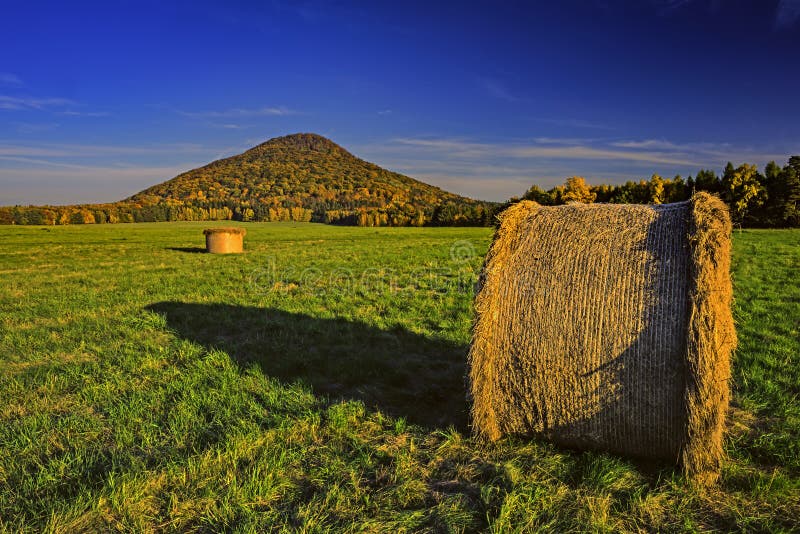 Silage in meadow stock image. Image of crop, forest - 119808061