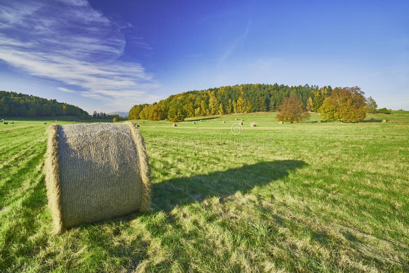Silage in meadow stock photo. Image of republic, nature - 63609240