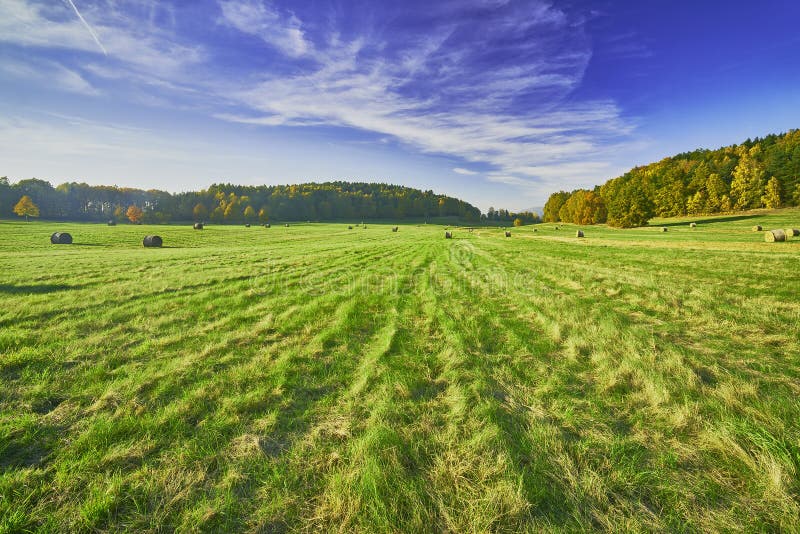 Silage in meadow stock photo. Image of harvest, field - 63609242